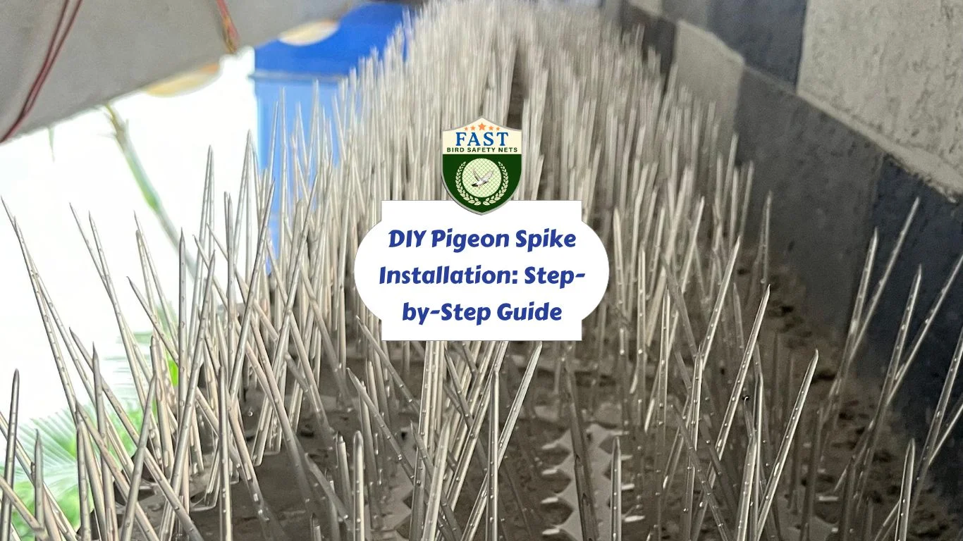 DIY Pigeon Spike Installation: Step-by-Step Guide - Fast Safety Nets ...
