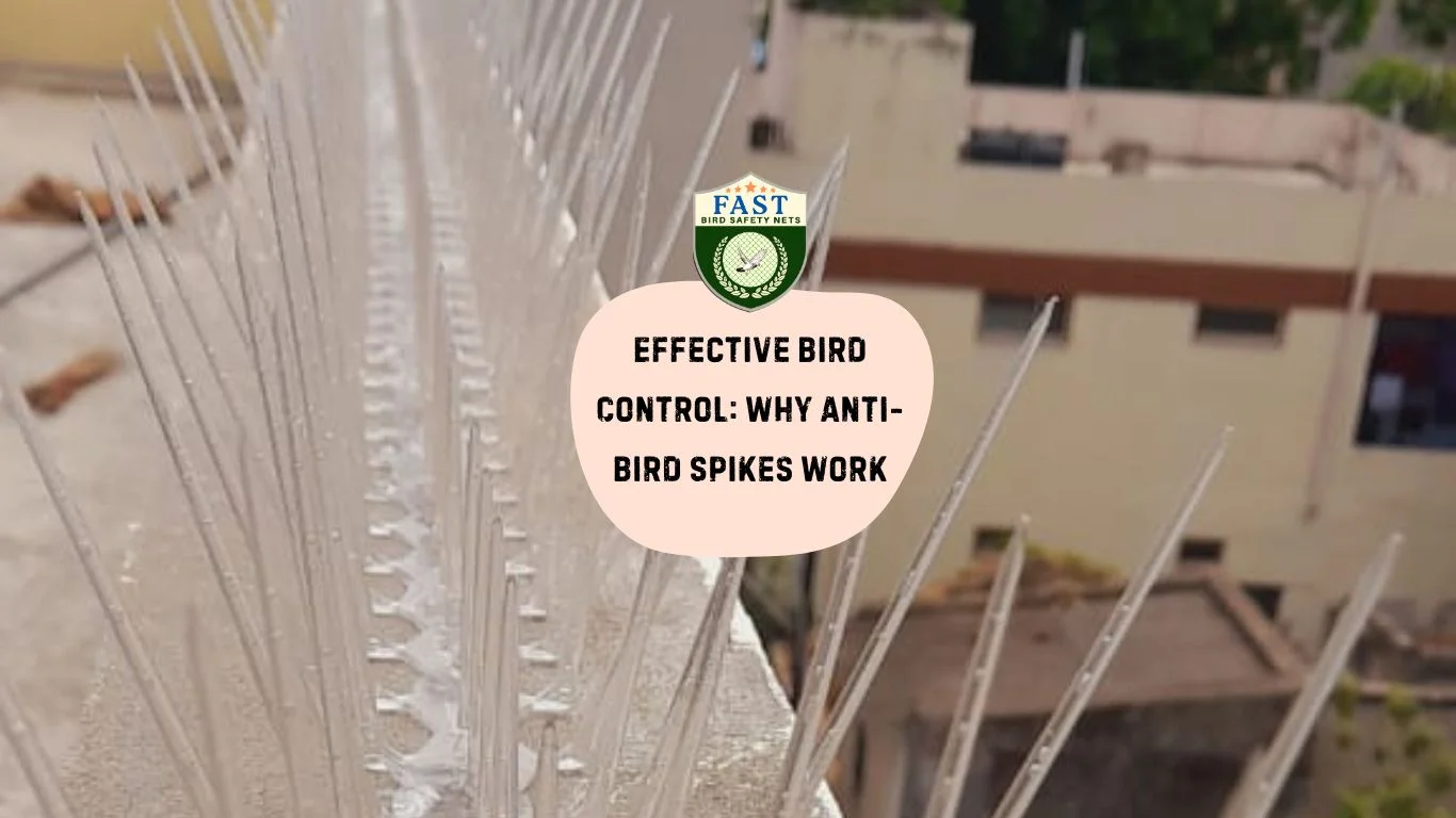 Effective Bird Control: Why Anti-Bird Spikes Work - Fast Safety Nets ...