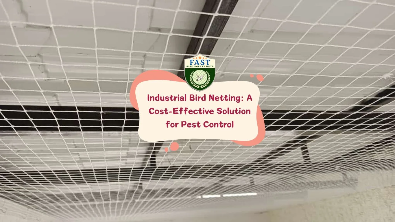 Industrial Bird Netting: A Cost-Effective Solution for Pest Control ...