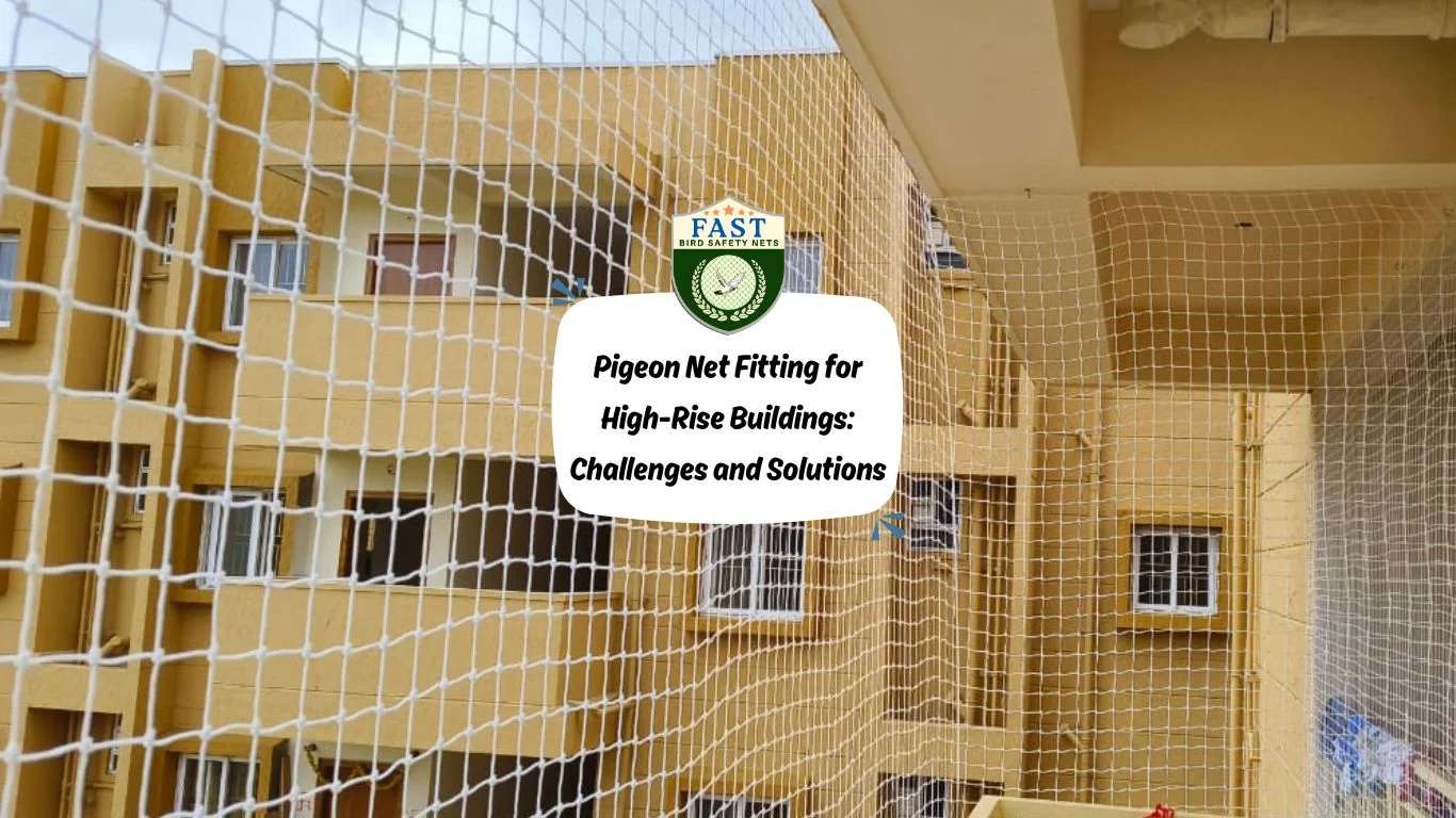 Pigeon Net Fitting for High-Rise Buildings: Challenges and Solutions ...