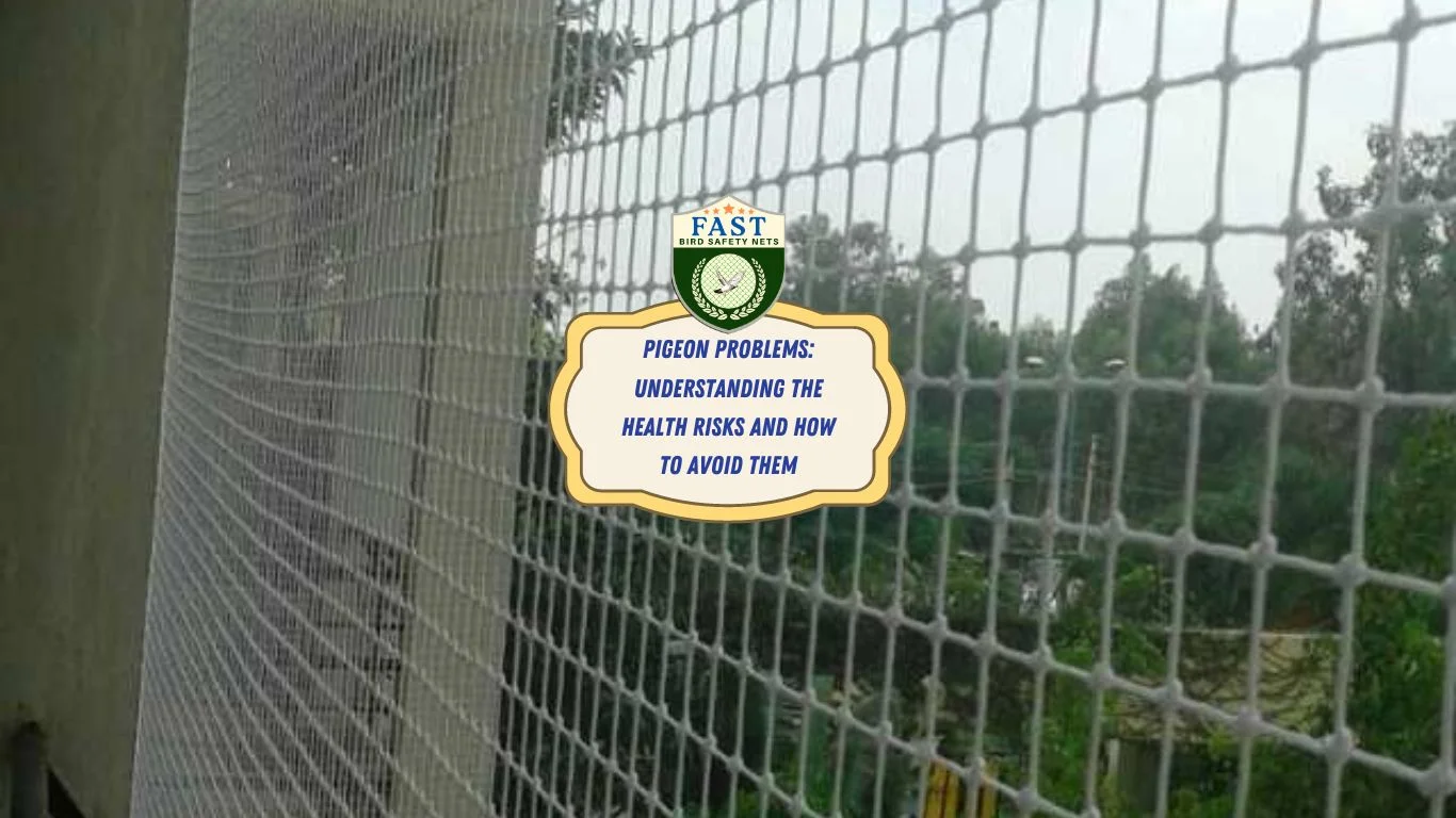 Pigeon Problems: Understanding the Health Risks and How to Avoid Them ...