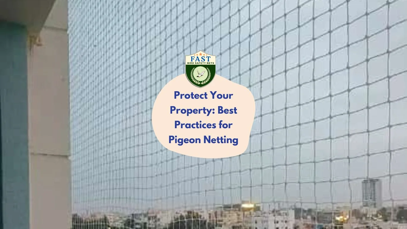 Protect Your Property: Best Practices for Pigeon Netting - Fast Safety ...