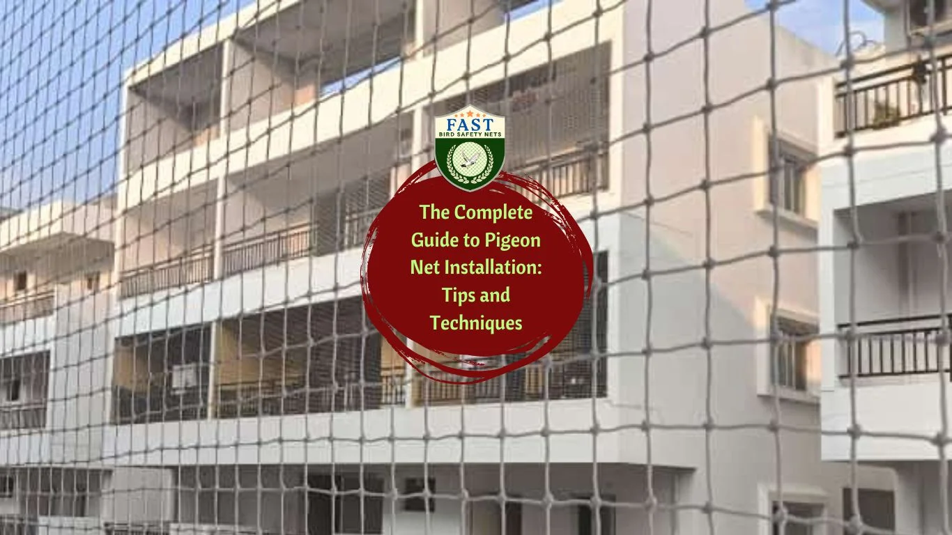 The Complete Guide to Pigeon Net Installation: Tips and Techniques ...