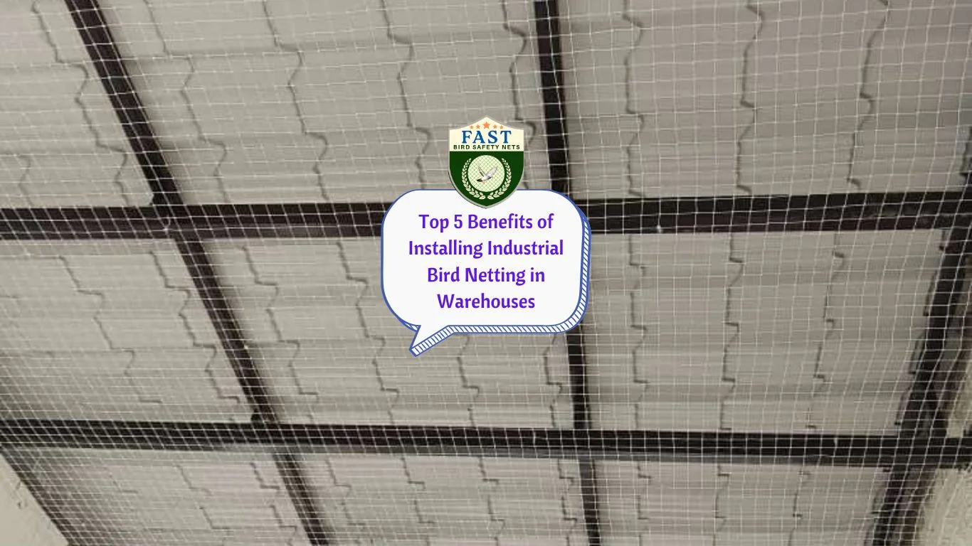 Top 5 Benefits of Installing Industrial Bird Netting in Warehouses ...