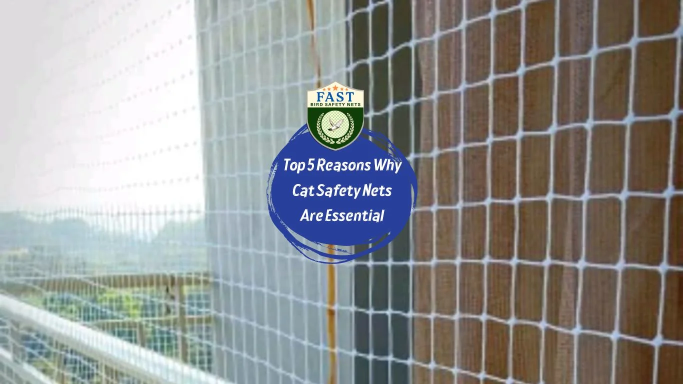 Top 5 Reasons Why Cat Safety Nets Are Essential - Fast Safety Nets ...