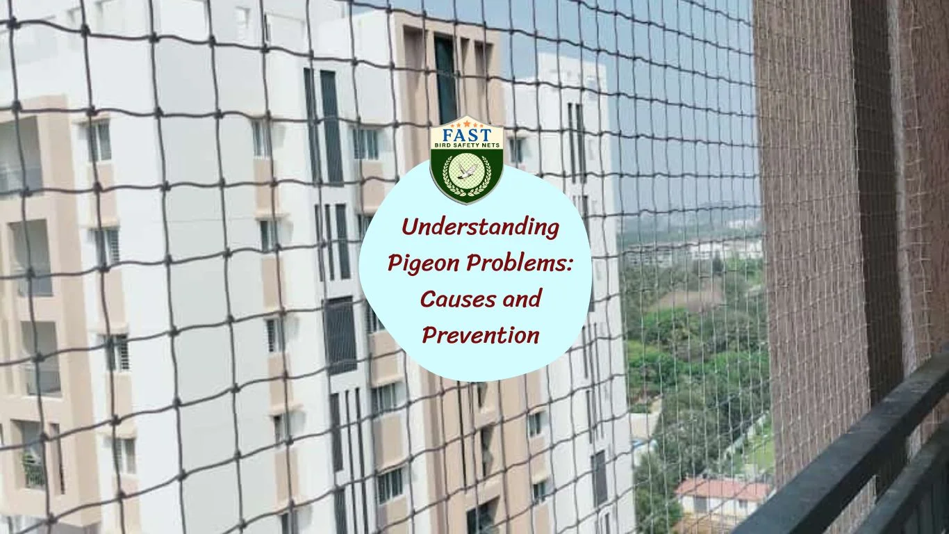 Understanding Pigeon Problems: Causes and Prevention - Fast Safety Nets ...